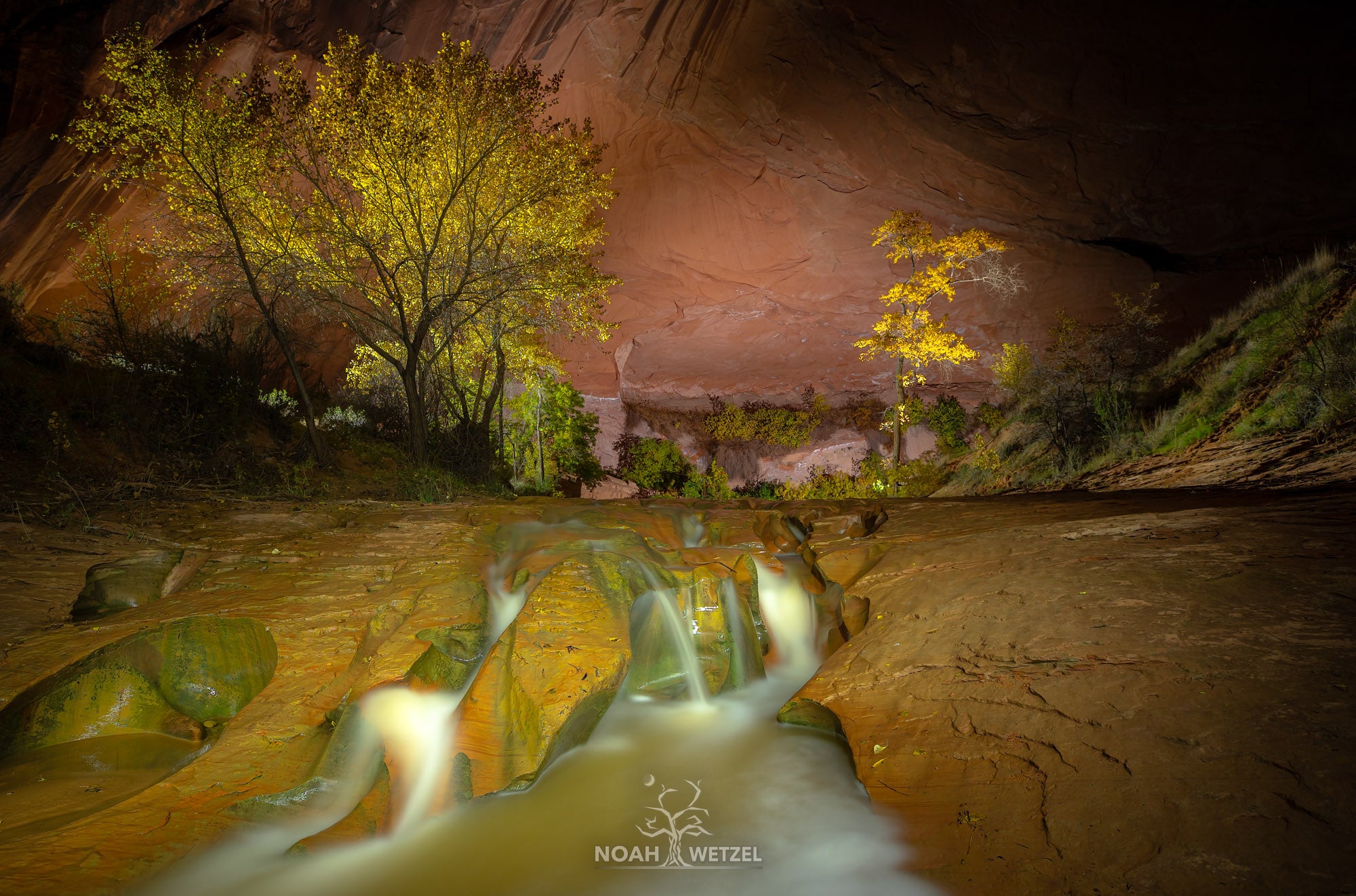 Desert Midnight Oasis – The Wetzel Gallery