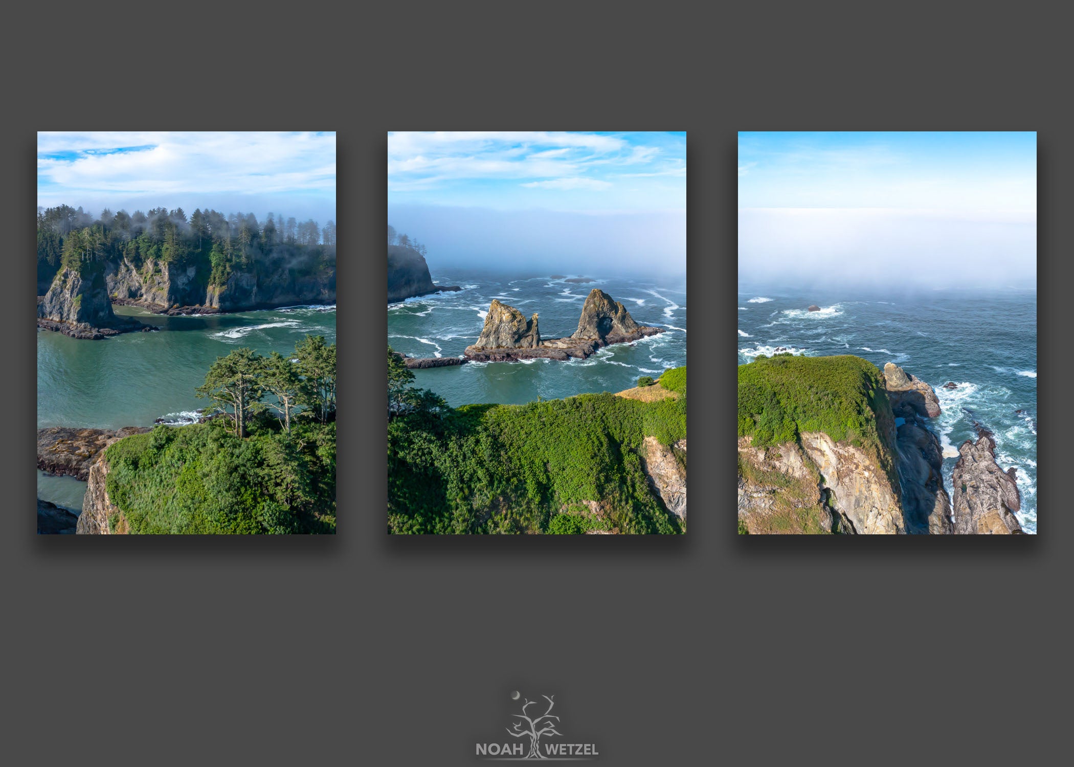 Secluded Growth - Triptych – The Wetzel Gallery