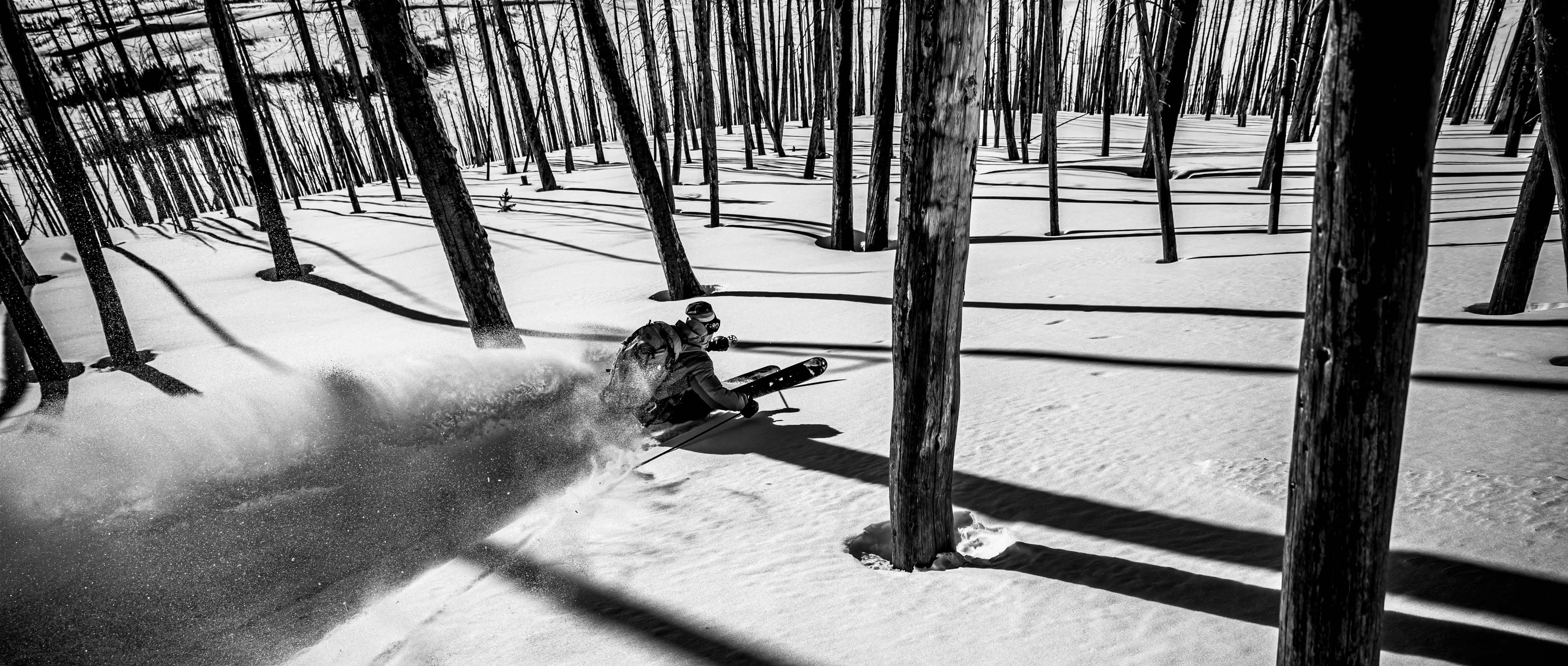 Black & White – The Wetzel Gallery