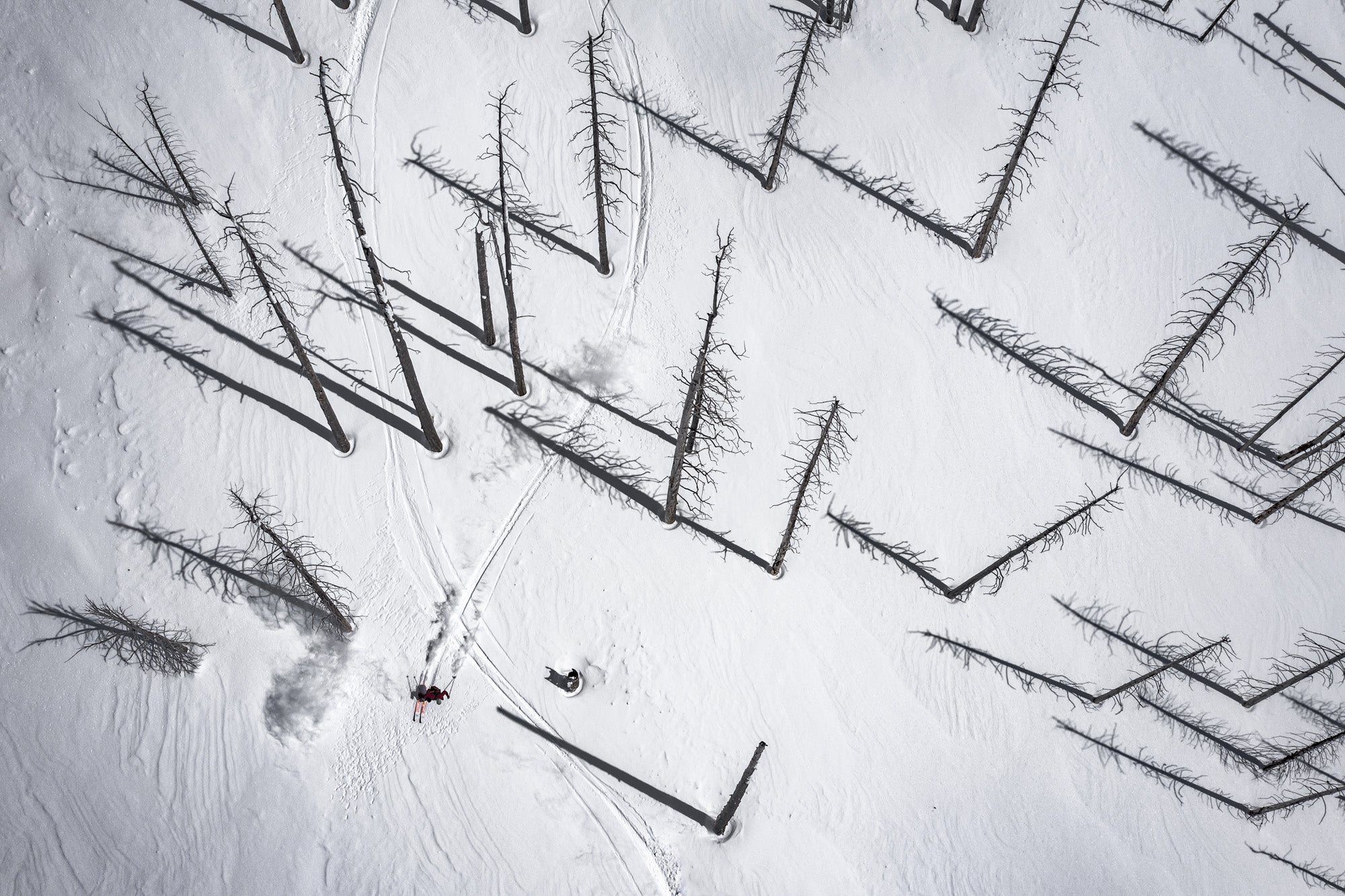 The Noah David Wetzel Gallery – The Wetzel Gallery