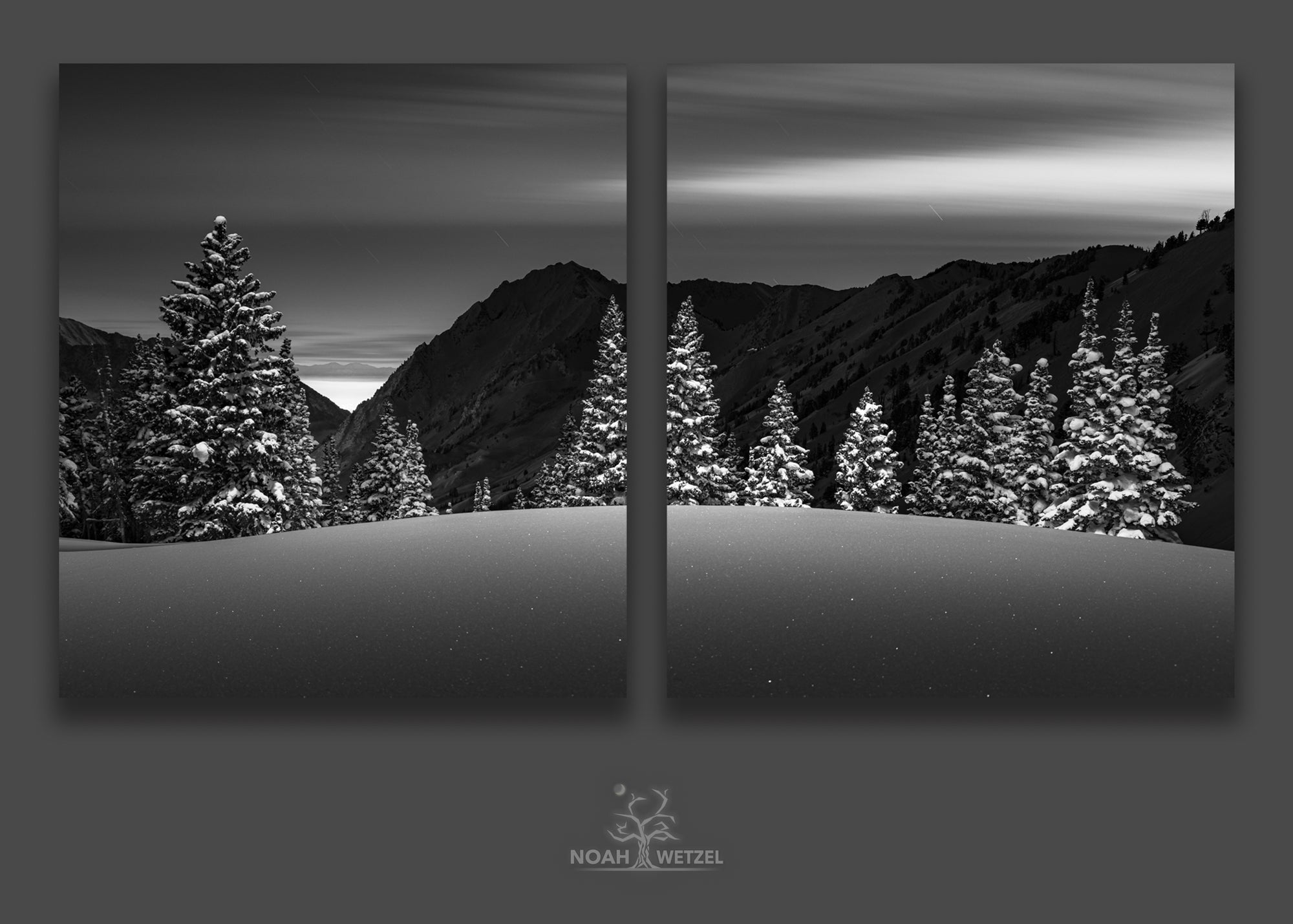 Grizzly Night BW - Bi Panel – The Wetzel Gallery