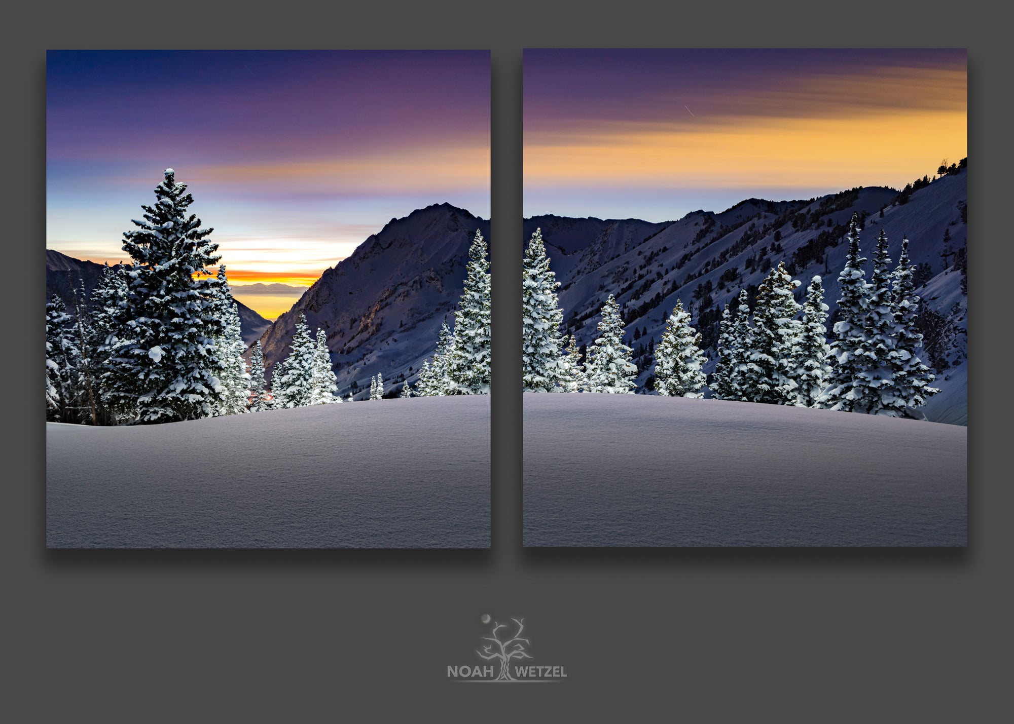 Grizzly Night - Bi Panel – The Wetzel Gallery