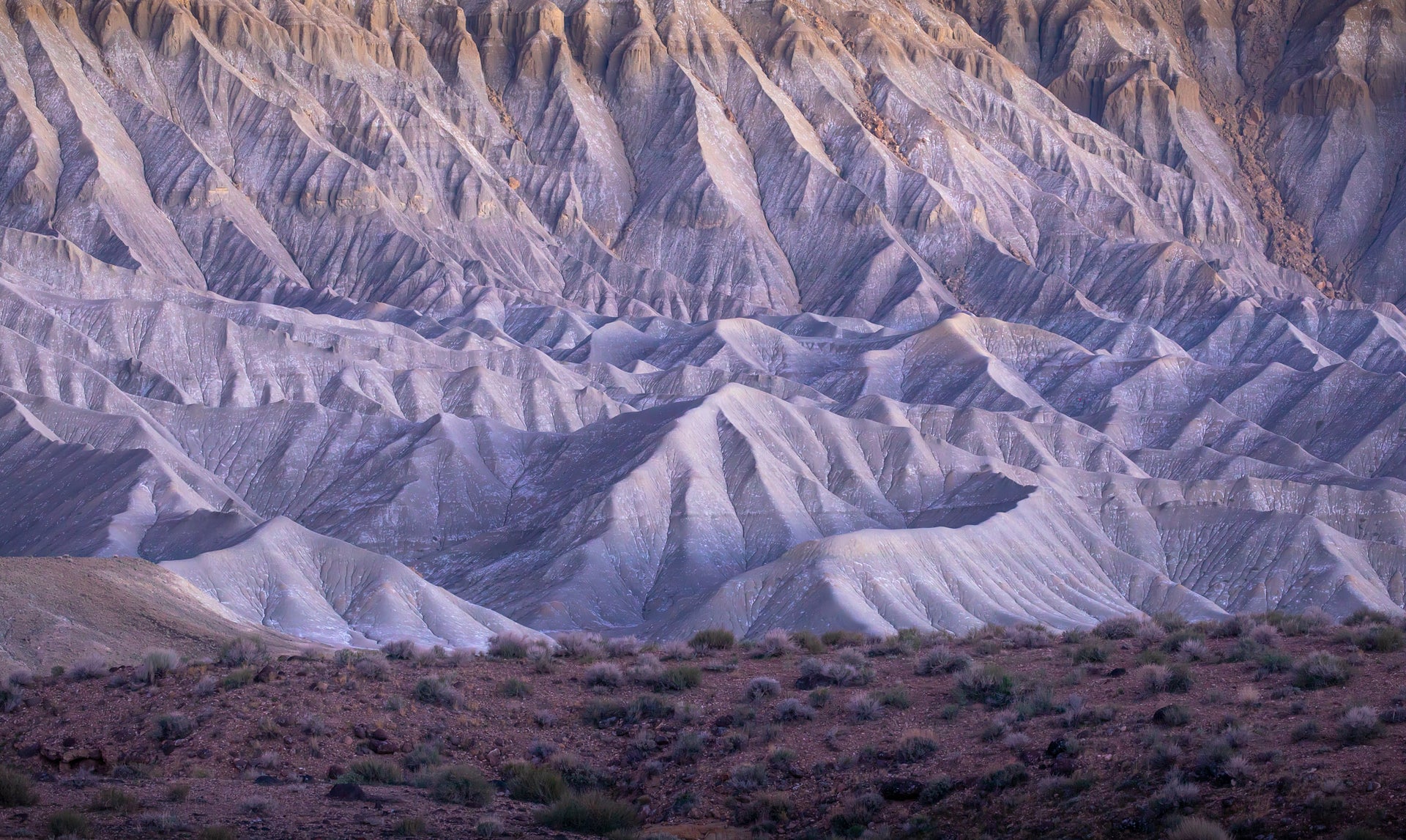 The Noah David Wetzel Gallery – The Wetzel Gallery