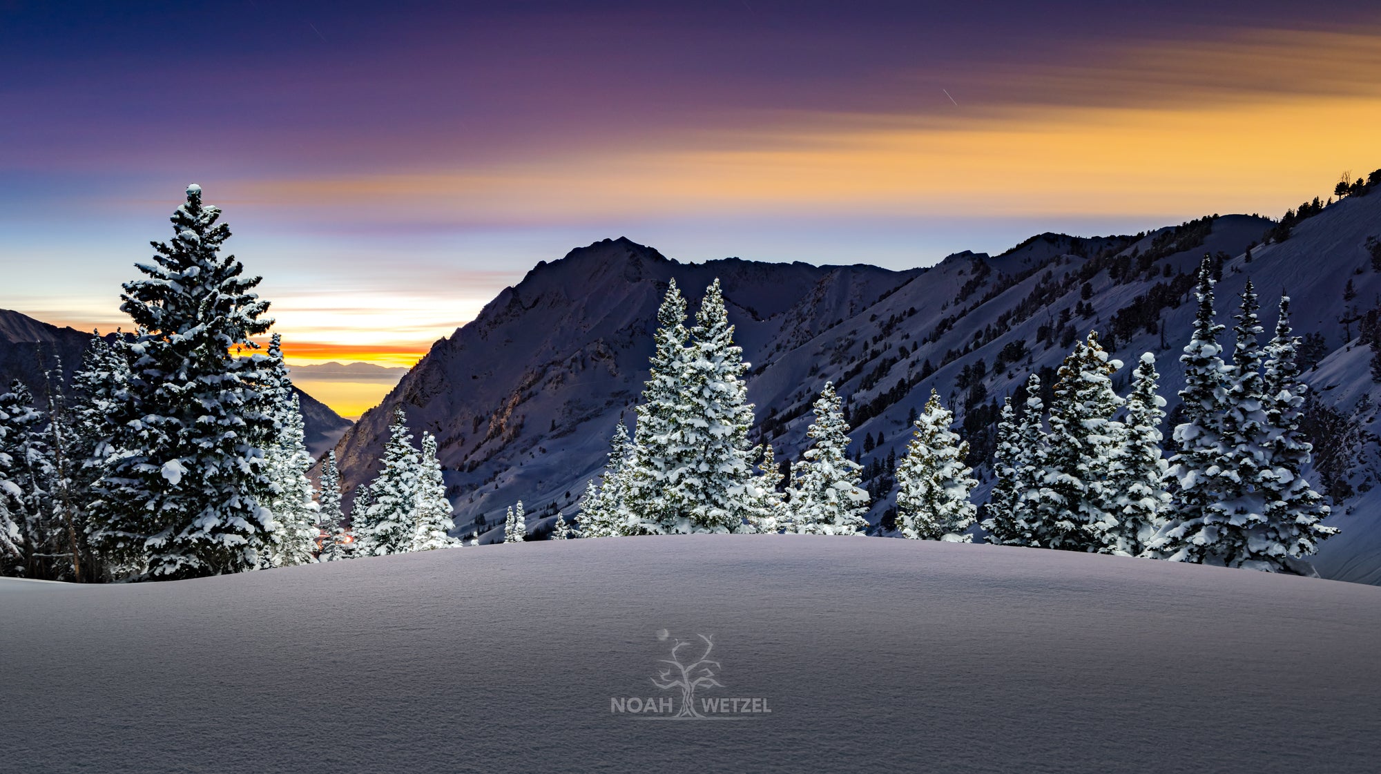 Grizzly Night – The Wetzel Gallery