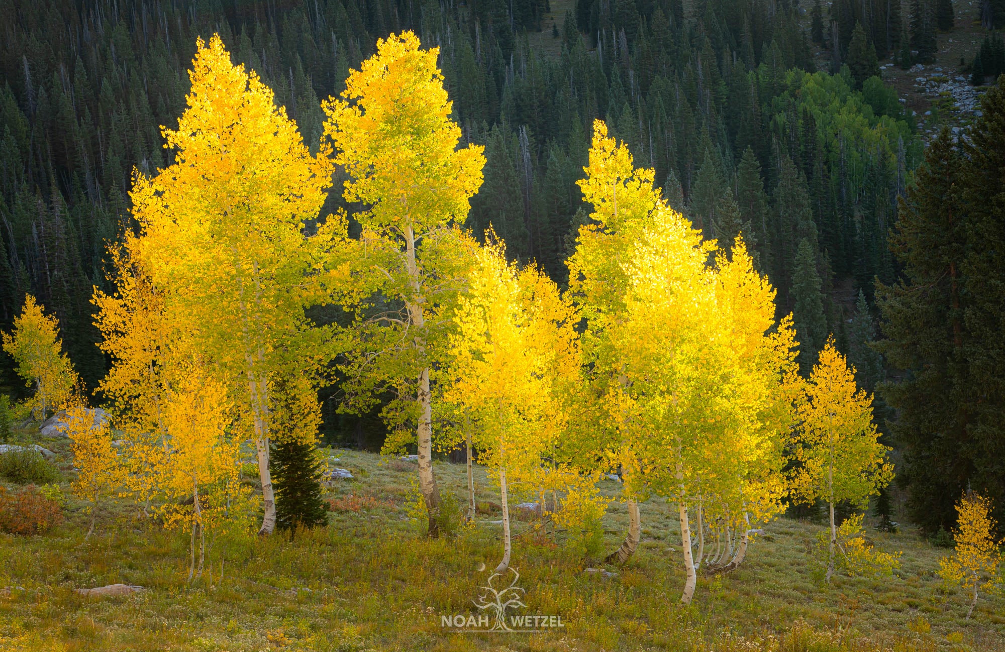 Crest of Daybreak – The Wetzel Gallery