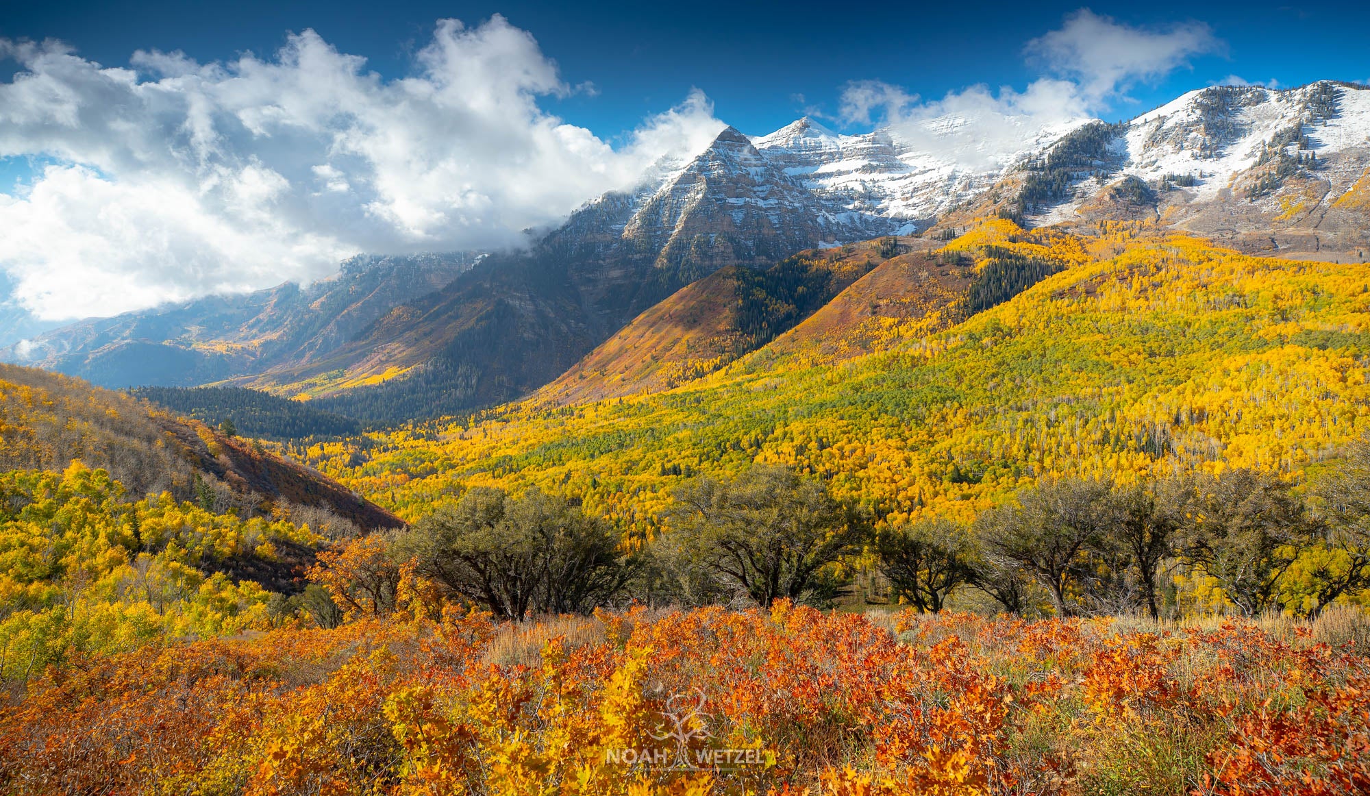 Sea of Autumn – The Wetzel Gallery