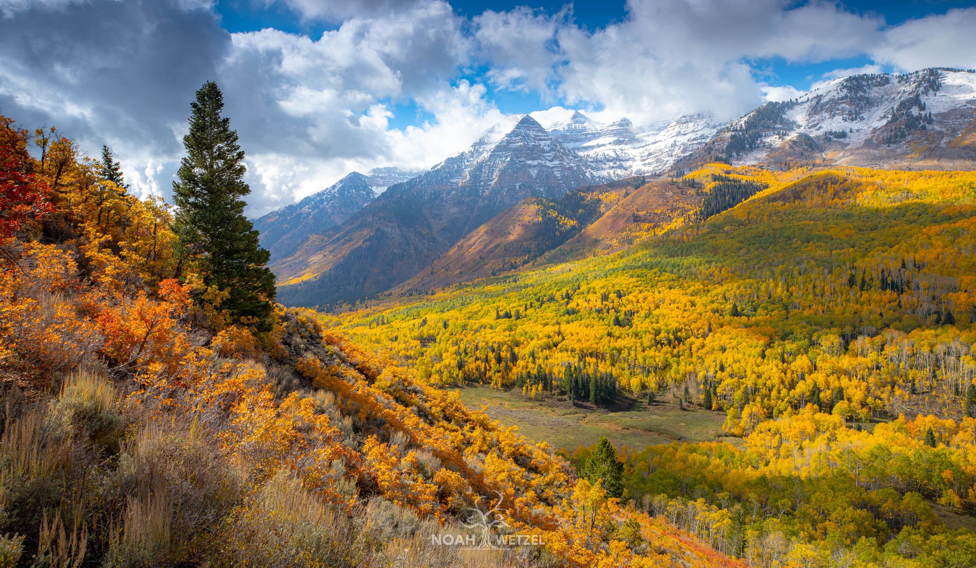 Timpanogos Autumn Grandeur – The Wetzel Gallery