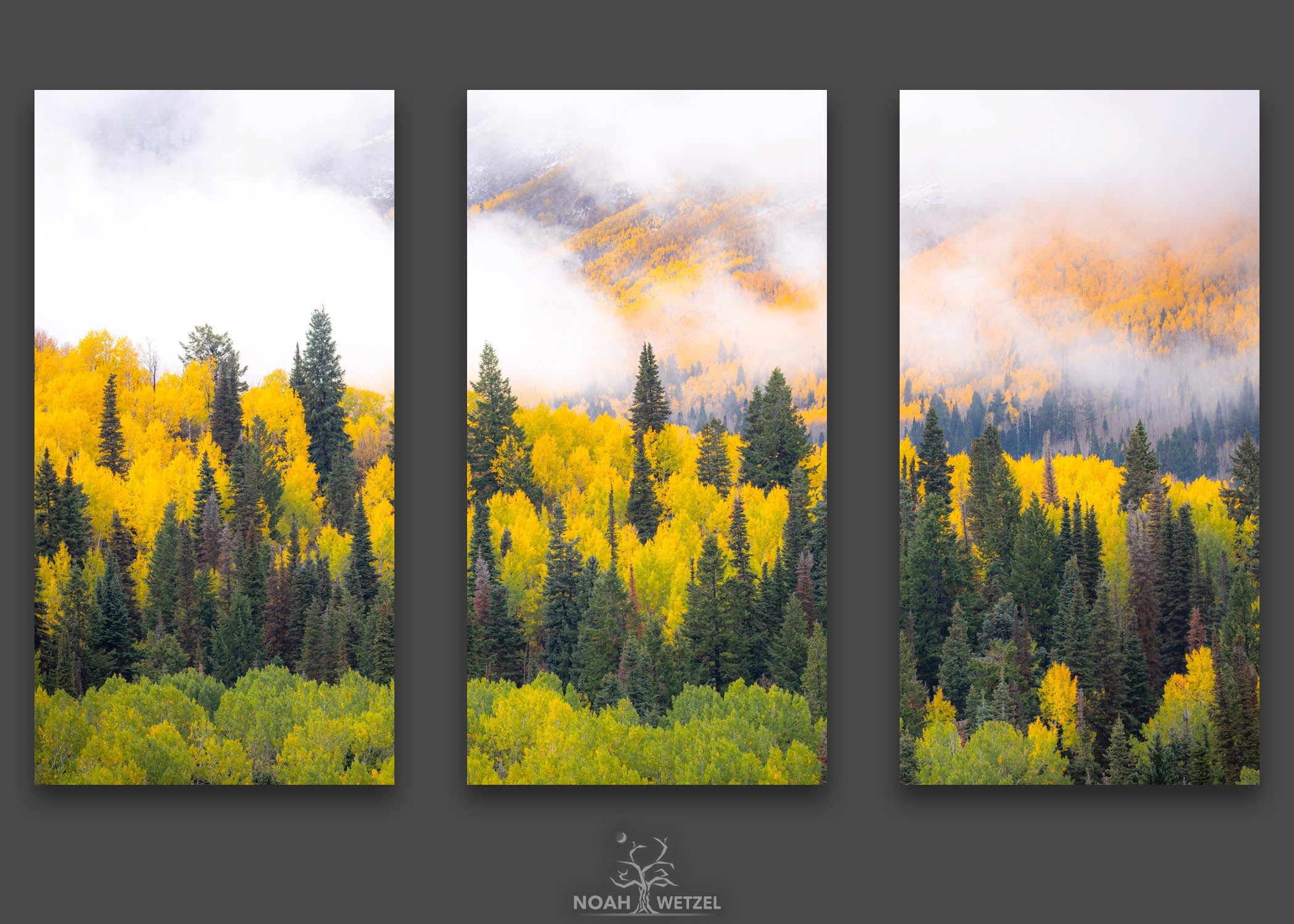 Come into View - Triptych – The Wetzel Gallery