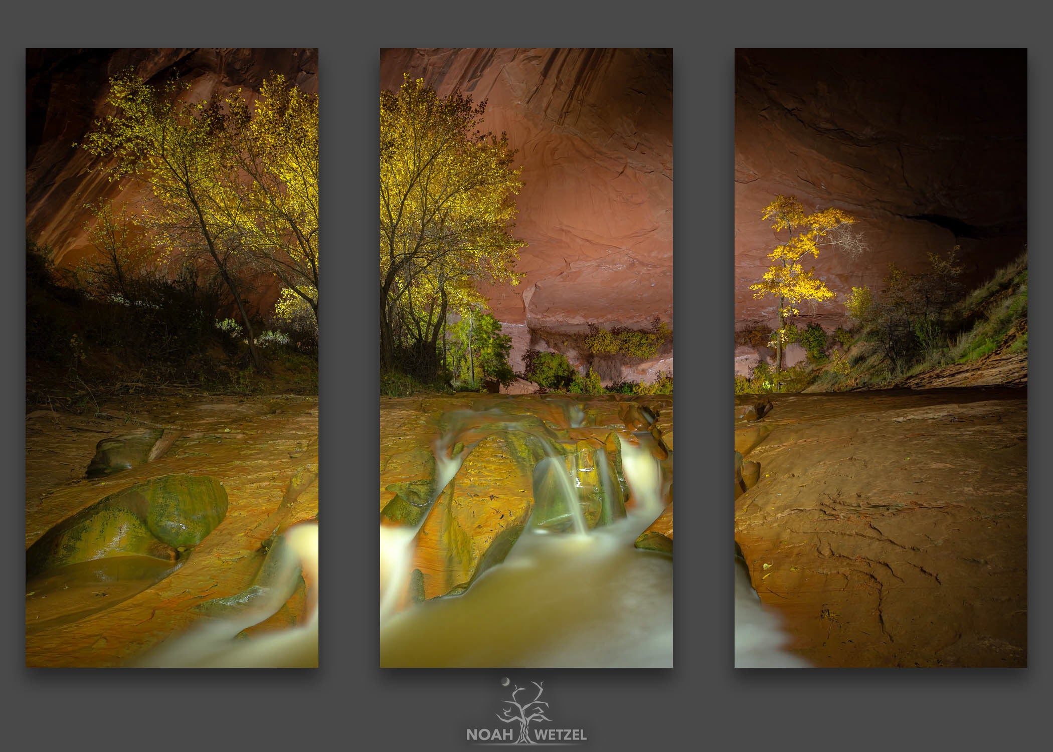 Desert Midnight Oasis - Triptych – The Wetzel Gallery