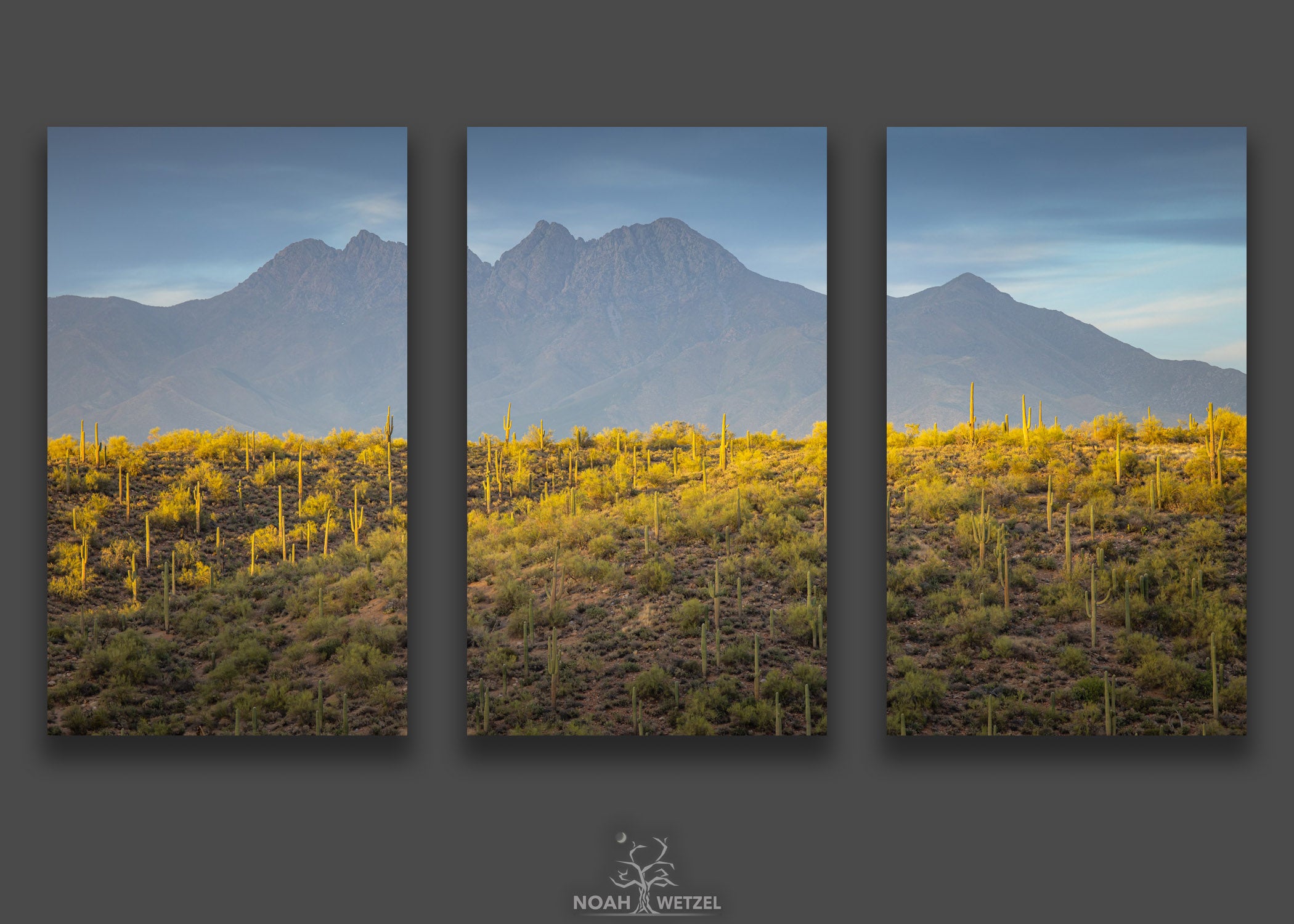 Sonoran Desert Evening - Triptych – The Wetzel Gallery