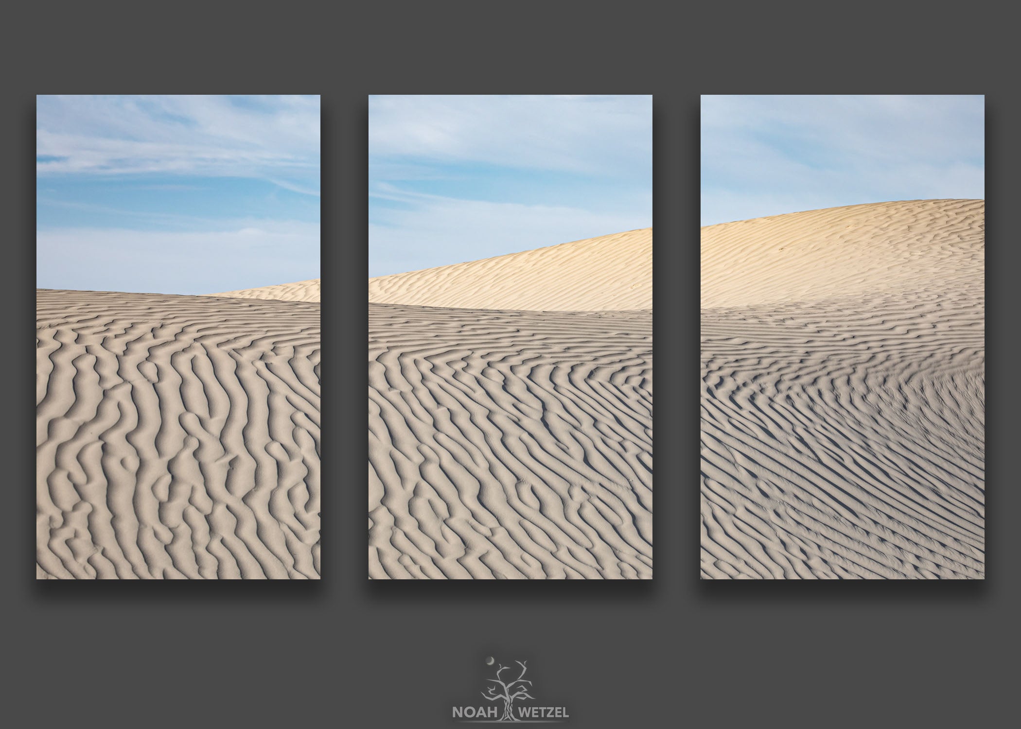 Textures of Wind - Triptych – The Wetzel Gallery